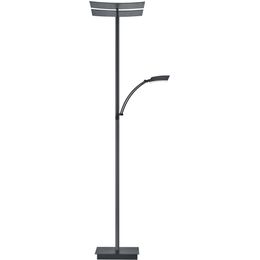 LED Stehlampe "ANDY", schwarz (anthrazit matt eloxiert), 3, H: 185cm, 1 Stk.,mit Lesearm, HELL H&Ouml;LLISCH GUTES LICHT, Leuchten, Tastdimmer, CCT, LED Stehlampe