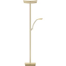 LED Stehlampe "ANDY", gold (champagnerfarben eloxiert), 3, H: 185cm, 1 Stk.,mit Lesearm, HELL H&Ouml;LLISCH GUTES LICHT, Leuchten, Tastdimmer, CCT, LED Stehlampe