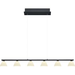 LED Pendelleuchte "MONA", schwarz, 6, 1 Stk., HELL H&Ouml;LLISCH GUTES LICHT, Leuchten, Tastdimmer, Stufenlos h&ouml;henverstellbar, LED Pendelleuchte