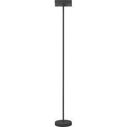 LED Stehlampe "MESH-B", schwarz, 1, &Oslash; 16cm H: 120cm, 1 Stk., HELL H&Ouml;LLISCH GUTES LICHT, Leuchten, Tastdimmer, LED Stehlampe
