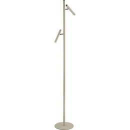 LED Stehlampe "STREAK", sand, 2, &Oslash; 25cm H: 163cm, 1 Stk., HELL H&Ouml;LLISCH GUTES LICHT, Leuchten, Tastdimmer, LED Stehlampe