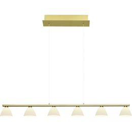 LED Pendelleuchte "MONA", messingfarben matt, 6, 1 Stk., HELL H&Ouml;LLISCH GUTES LICHT, Leuchten, Tastdimmer, Stufenlos h&ouml;henverstellbar, LED Pendelleuchte