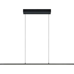 LED Pendelleuchte "QUEENS 2.0", schwarz, 1, 1 Stk., HELL H&Ouml;LLISCH GUTES LICHT, Leuchten, Vertical dim, CCT, Stufenlos h&ouml;henverstellbar, LED Pendelleuchte