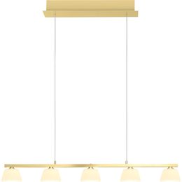 LED Pendelleuchte "JANE", champagnerfarben, 5, 1 Stk., HELL H&Ouml;LLISCH GUTES LICHT, Leuchten, Tastdimmer, Dim to warm, Stufenlos h&ouml;henverstellbar, LED Pendelleuchte