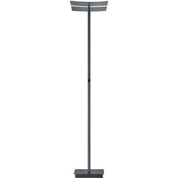 LED Stehlampe "ANDY", grau (anthrazit matt eloxiert), 2, H: 185cm, 1 Stk., ohne Lesearm, HELL H&Ouml;LLISCH GUTES LICHT, Leuchten, Tastdimmer, CCT, LED Stehlampe