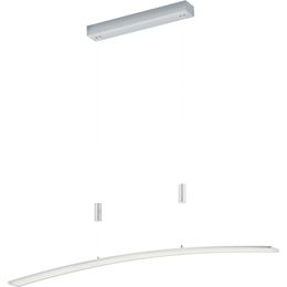 LED Pendelleuchte "DUAL", aluminiumfarben eloxiert, 1, 1 Stk., HELL H&Ouml;LLISCH GUTES LICHT, Leuchten, B-Link Fernbedienung, CCT, H&ouml;henverstellbar, LED Pendelleuchte