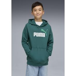 Kapuzensweatshirt Puma "ESS 2 COLOR NO.1 LOGO HOODIE TR B", Jungen, Gr. 128, gr&uuml;n (emerald ice), Sweatware, Obermaterial: 68% Baumwolle, 32% Polyester, bedruckt, regular fit normal, angesetztes B&uuml;ndchen, Sweatshirts, f&uuml;r Jugendliche, mit Print-Applikation, mit K&auml;ngurutasche