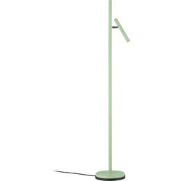 LED Stehlampe "STREAK-B", mintgr&uuml;n, 1, &Oslash; 22cm H: 134cm, 1 Stk., HELL H&Ouml;LLISCH GUTES LICHT, Leuchten, Tastdimmer, LED Stehlampe