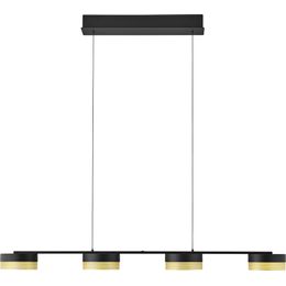 LED Pendelleuchte "MESH", schwarz, goldfarben, 4, 1 Stk., HELL H&Ouml;LLISCH GUTES LICHT, Leuchten, Tastdimmer, Stufenlos h&ouml;henverstellbar, LED Pendelleuchte
