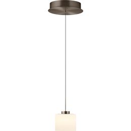 LED Pendelleuchte "ELLI", bronzefarben eloxiert, 1, &Oslash; 26cm, 1 Stk., HELL H&Ouml;LLISCH GUTES LICHT, Leuchten, B-Link Fernbedienung, Stufenlos h&ouml;henverstellbar, LED Pendelleuchte