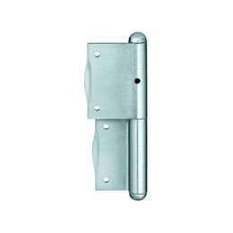 Simonswerk Band BAKA&reg; C 2, 2tlg. m.festem Stift, L100mm, DR Stahl verzinkt (5 130532 1 01006)