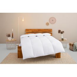 G&auml;nsedaunenbettdecke OTTO HOME "Lule&aring; Bettdecke 135x200 cm, 155x220 cm", wei&szlig;, B:135cm L:200cm, Bezug: 100% Baumwolle. F&uuml;llung: 100% Daunen, Bettdecken, Bettdecken, Sommer, Winter, Allergiker geeignet ( Hausstauballergiker)