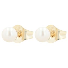 Adelia&acute;s Paar Ohrh&auml;nger ADELIA&acute;S "Ohrringe &ndash; Ohrstecker aus 333 Gold mit Perle", Damen, Gr. Damen, gold, Ohrringe, Ein Geschenk, das Freude macht