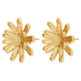 Adelia&acute;s Paar Ohrh&auml;nger ADELIA&acute;S "Ohrringe &ndash; Ohrstecker aus Edelstahl", Damen, Gr. Damen, Edelstahl, gold, Ohrringe, Ideal zum Verschenken &ndash; schlicht und stilvoll