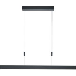 LED Pendelleuchte "DELTA", schwarz, 1, 1 Stk., HELL H&Ouml;LLISCH GUTES LICHT, Leuchten, dimmbar &uuml;ber Wanddimmer, H&ouml;henverstellbar, LED Pendelleuchte