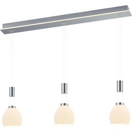 LED Pendelleuchte "SAM", nickelfarben matt, chromfarben abgesetzt, 4, 1 Stk., HELL H&Ouml;LLISCH GUTES LICHT, Leuchten, B-Link Fernbedienung, H&ouml;henverstellbar, LED Pendelleuchte