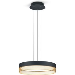 LED Pendelleuchte "MESH", schwarz, goldfarben, 1, &Oslash; 45cm, 1 Stk., HELL H&Ouml;LLISCH GUTES LICHT, Leuchten, B-Link Fernbedienung, In der H&ouml;he einstellbar, LED Pendelleuchte