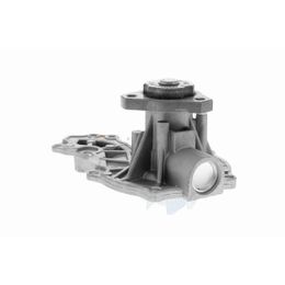 VAICO Wasserpumpe v1050029 f&uuml;r VAG VW