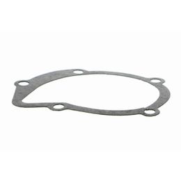 VAICO Wasserpumpe v2250014 f&uuml;r Peugeot LANCIA