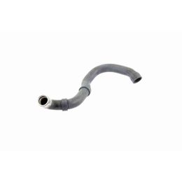 VAICO K&uuml;hlerschlauch v301661 unten f&uuml;r Mercedes