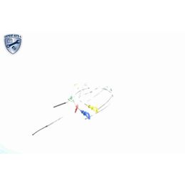 VAICO &Ouml;lpeilstab v302370 f&uuml;r Mercedes