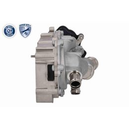 VAICO Wasserpumpe + Zahnriemensatz v1050114 f&uuml;r VW Skoda