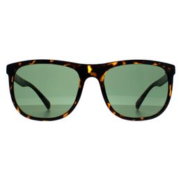 Calvin Klein CK22557S 240 gl&Atilde;&curren;nzende havannagr&Atilde;&frac14;ne Sonnenbrille