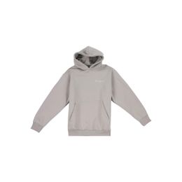 Kapuzensweatshirt DROPSIZE "Dropsize Dropsize REGULAR FIT HOODIE", Herren, Gr. S, flint, 70% Baumwolle, 30% Polyester, unifarben, Rundhals, Sweatshirts