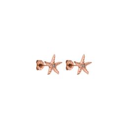 PURELEI Aloha Starfish Ohrringe mit Zirkonia Steinen