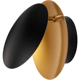NOVA LUCE LED Wandleuchte "SHELL", schwarz, 1, H: 20cm, 1 Stk., Leuchten, LED Wandleuchte