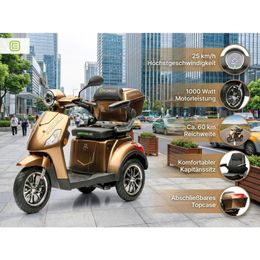 ECONELO E-Seniorenmobil Yogi-IQ, Blei-Akku, 3-Rad, 1000 Watt, Braun