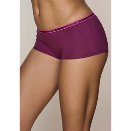 Lascana Panty violett Gr. 44/46 f&uuml;r Damen. Mit Logobund. K&ouml;rpernah. Nachhaltig.
