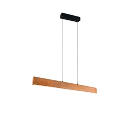 Trio Pendelleuchte EDGEWOOD