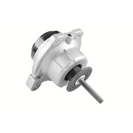 TEDGUM Lagerung, Motor ted44719 vorne rechts f&uuml;r Ford