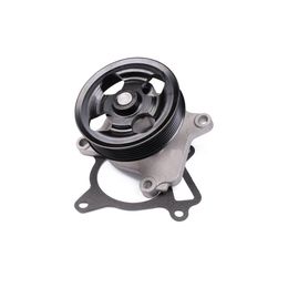 Hepu Wasserpumpe p7423 f&uuml;r RENAULT NISSAN