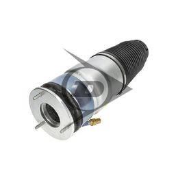 AIC Luftfeder, Fahrwerk 71233 Hinterachse rechts f&uuml;r Tesla