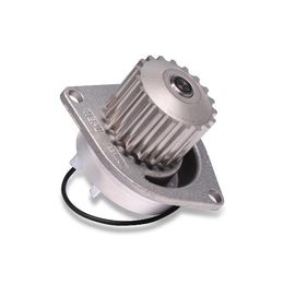 Hepu Wasserpumpe p891 f&uuml;r Citro&euml;n/Peugeot