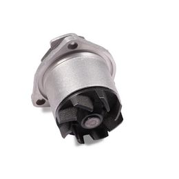 Hepu Wasserpumpe p524 f&uuml;r Ford Mercedes VW