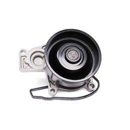 Hepu Wasserpumpe p434 f&uuml;r MINI