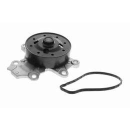 ACKOJA Wasserpumpe a7050035 f&uuml;r TOYOTA