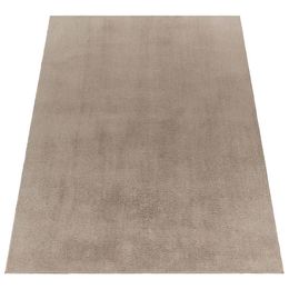 Paco Home Kurzflor-Teppich, Taupe, Kunststoff, Rechteckig, 240x340 cm, strapazierf&auml;hig, f&uuml;r Fu&szlig;bodenheizung geeignet, Teppiche & B&ouml;den, Teppiche