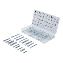BGS-technic BGS Sicherungsbolzen-Sortiment 8137, 60-tlg. ; BGS technic)