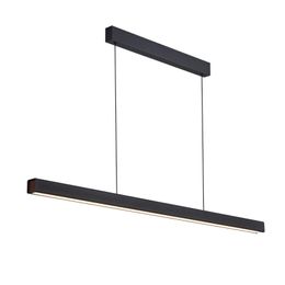 LED-PENDELLEUCHTE Reutlinger 108.5/4.6/4.6cm