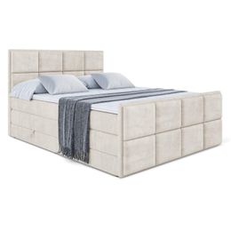 BOXSPRINGBETT NOVA-Z KING - 180 x 200 - H3/H4 - Ecru