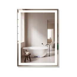 BADEZIMMERSPIEGEL Jena mit LED-Leuchte 60/80/2.5 cm