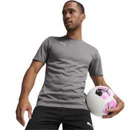 Puma - "TeamFinal" T-Shirt f&uuml;r Herren, Training (Eisen)