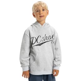 Hoodie DC Shoes "Substitute", Jungen, Gr. 10(140-148cm), grau (light erdgrau), Obermaterial: 55% Baumwolle, 25% Baumwolle, 20% Polyester., Sweatshirts Hoodie