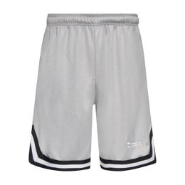 Shorts DROPSIZE "Dropsize Herren Dropsize Logo Mesh Shorts", Herren, Gr. L, US-Gr&ouml;&szlig;en, light grau, 100% Polyester, loose fit, Hosen Shorts