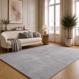 Teppich the carpet "kuschelig & Super Soft, Anti-Rutsch Unterseite", grau, B:200cm H:16mm L:280cm, Polyester, Teppiche, Teppich, Waschbar bis 30 Grad, Felloptik, Wohnzimmer Teppich, Kundenliebling