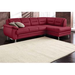 Sit & More Ecksofa SIT & MORE "Mailand L-Form, B: 250 cm", rot (karminrot), B:250cm H:85cm T:164cm, Luxus-Kunstleder;Kunstleder Softlux;NaturLEDER (echtes Rindleder)/Korpus passendes Kunstleder Softlux;Luxus-Microfaser Altara Nubuck (100% Polyester), Sofas, Ecksofa, optional Bettfunktion,Ottomane,inkl 5 Jahre Herstellergarantie